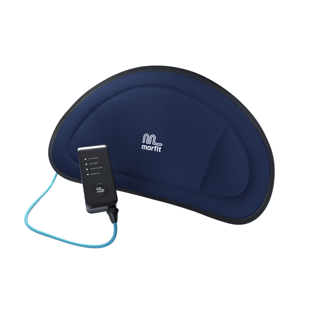 Smart Electric Lumbar Support for car seat | Make driving comfortable ...